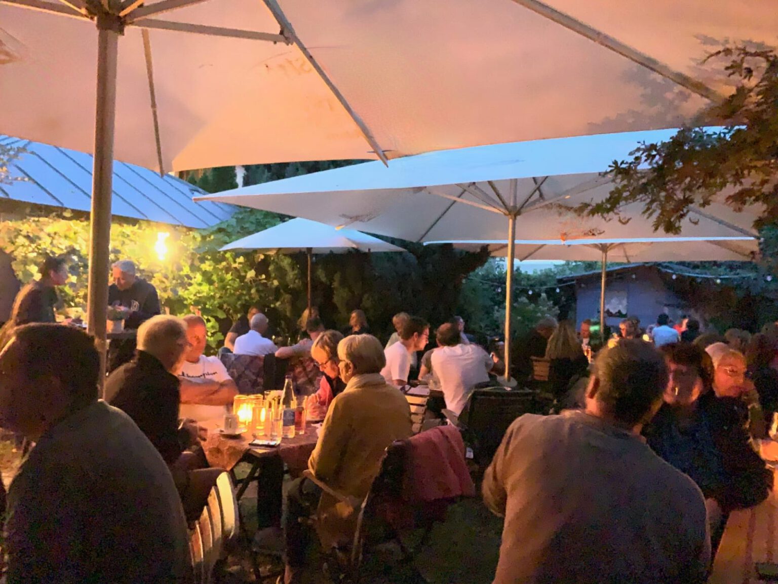 Weingut Gustav Strub – Weingut & Straußwirtschaft